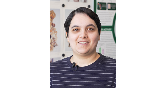 The Amateur Beekeeper - Native Bees